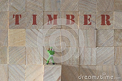 Wood Stacked With The Word Timber And A Miniature Scale Model Builder ...