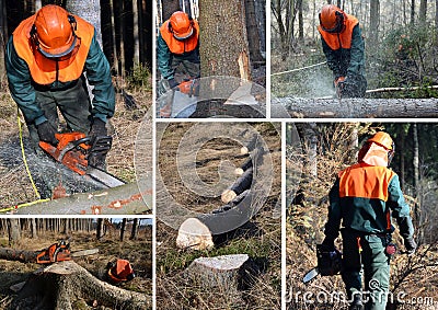 Woodcutter, Forest Work Set Royalty Free Stock Photos - Image: 24060478