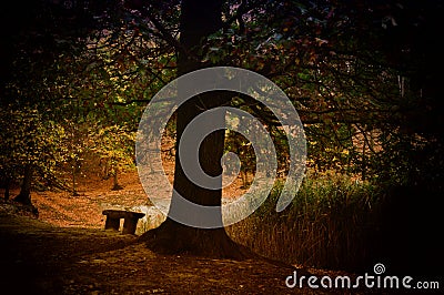 Wooden Bench Under An Oak Tree Royalty-Free Stock Photo | CartoonDealer ...