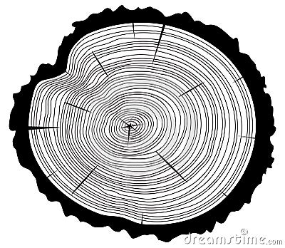 Wooden Cut Of A Tree Log, Vector | CartoonDealer.com #49953183