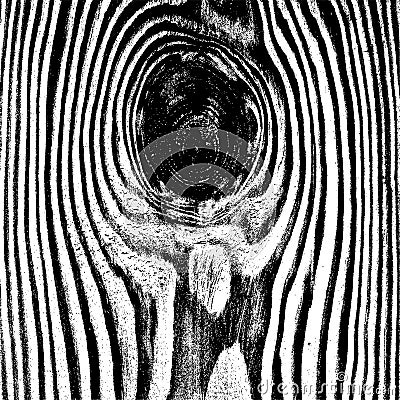 Wooden Knot Texture Cartoon Vector | CartoonDealer.com #37213847