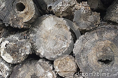 Wooden Pads Royalty-Free Stock Photo | CartoonDealer.com #92547447