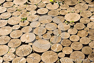 Wooden Pavement Royalty Free Stock Images - Image: 19023069