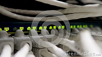 Working Ethernet Server. RJ45 Jacks Blinking LED Lights. Close Up Stock ...