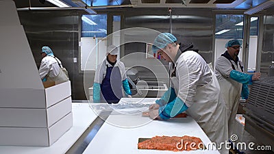 Processing of Fish at Factory. Stock Footage - Video of vessel ...