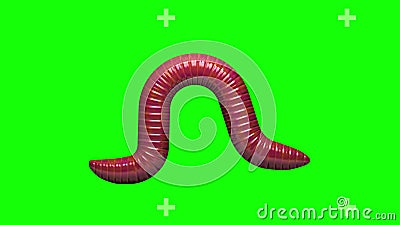 Worm on Green, Looping 3D Animation Stock Video - Video of background ...