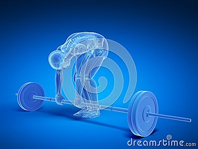 Wrong Lifting Posture Royalty-Free Illustration | CartoonDealer.com ...