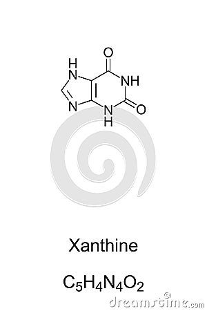 Xanthine, Xanthic Acid, Chemical Formula And Skeletal Structure Vector ...