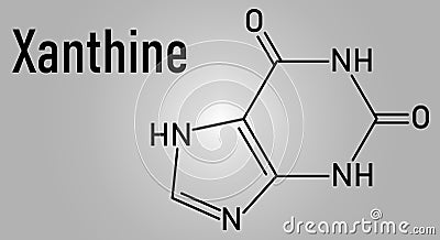 Xanthine Purine Base Molecule. Skeletal Formula. Chemical Structure ...