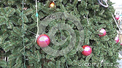 Xmas tree branch bubble stock video footage. Video of christmas - 36177161