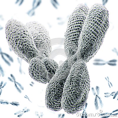 XY-chromosomes Stock Illustration | CartoonDealer.com #189080833