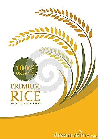 Yellow Paddy Rice For Background - Layout Template Size A4 Vector ...