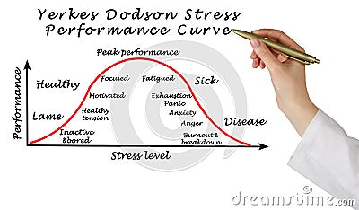 Stress Performance Curve Royalty-Free Stock Photography | CartoonDealer ...