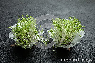 Young Fragrant Vegetable Sprouts Full Of Vitamins And Energy On A Black ...