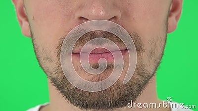 Young Man Lips with a Beard. Close Up Stock Video - Video of alpha ...