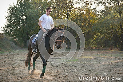 Young Man Riding Horse Stock Images - Image: 27313564