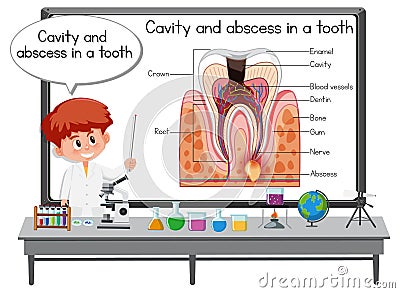 Young Scientist Explaining Cavity And Abscess In A Tooth In Laboratory ...