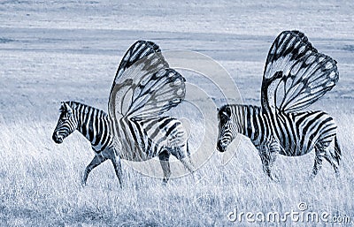 Zebra With Butterfly Wings Royalty-Free Stock Photo | CartoonDealer.com ...
