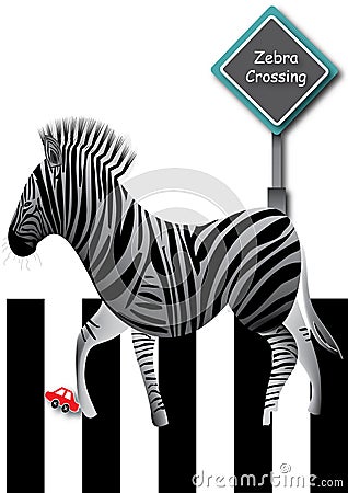Zebra Crossing Road_eps Stock Photography - Image: 14559662