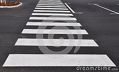 Zebrapad Stock Foto - Afbeelding: 9852560