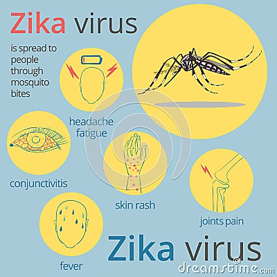 Zika Virus Symptoms Infographics Stock Vector - Illustration of ...