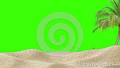 Zoom in sand and palm tree stock footage. Video of exotic - 197900306