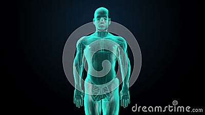 Zooming Human the Internal Organs, Digestion System.Blue X-ray Light ...