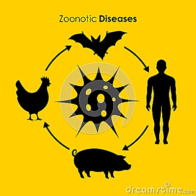 Zoonotic Diseases Vector Poster | CartoonDealer.com #246887808