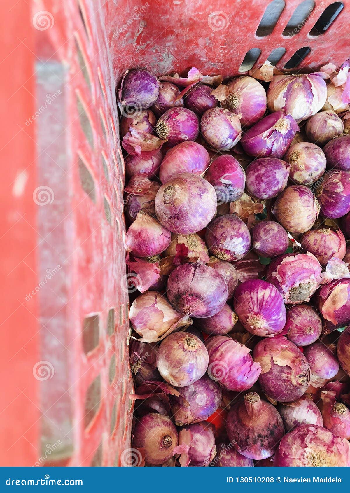 ¡Cebollas!! foto de archivo. Imagen de cebollas, medio - 130510208