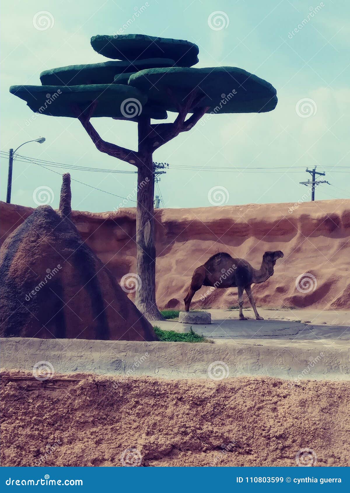 ¡Día de chepa!! imagen de archivo. Imagen de huelgas - 110803599