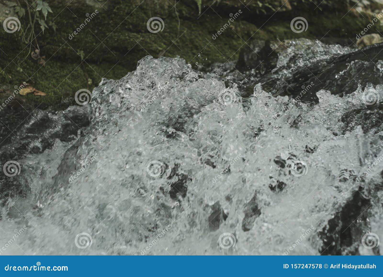 Água De Nascente Natural Das Montanhas Foto de Stock - Imagem de musgo ...