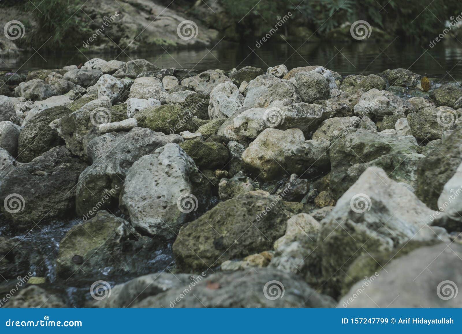 Água De Nascente Natural Das Montanhas Imagem de Stock - Imagem de ...