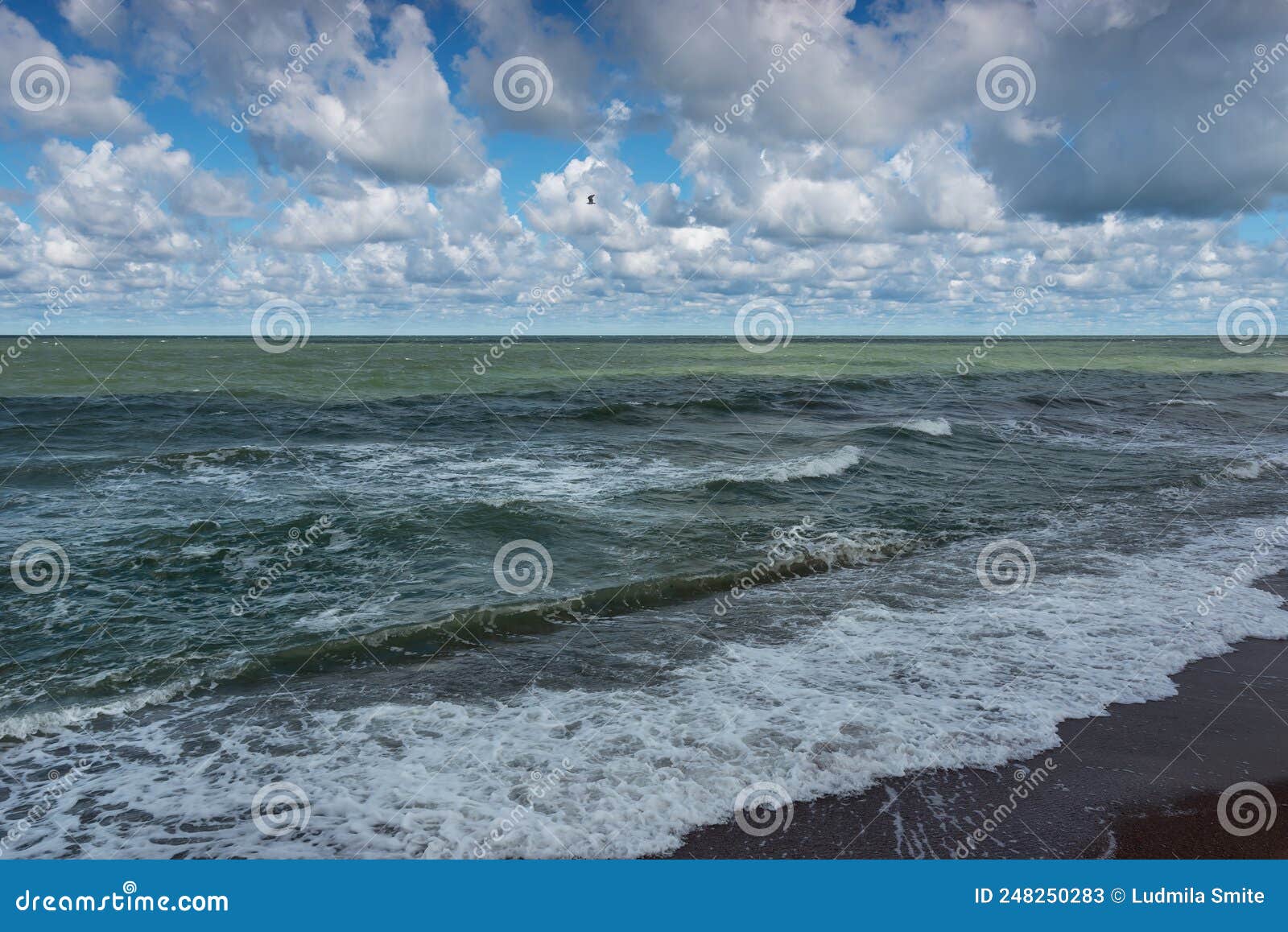 água salgada pelo mar imagem de stock. Imagem de litoral - 248250283
