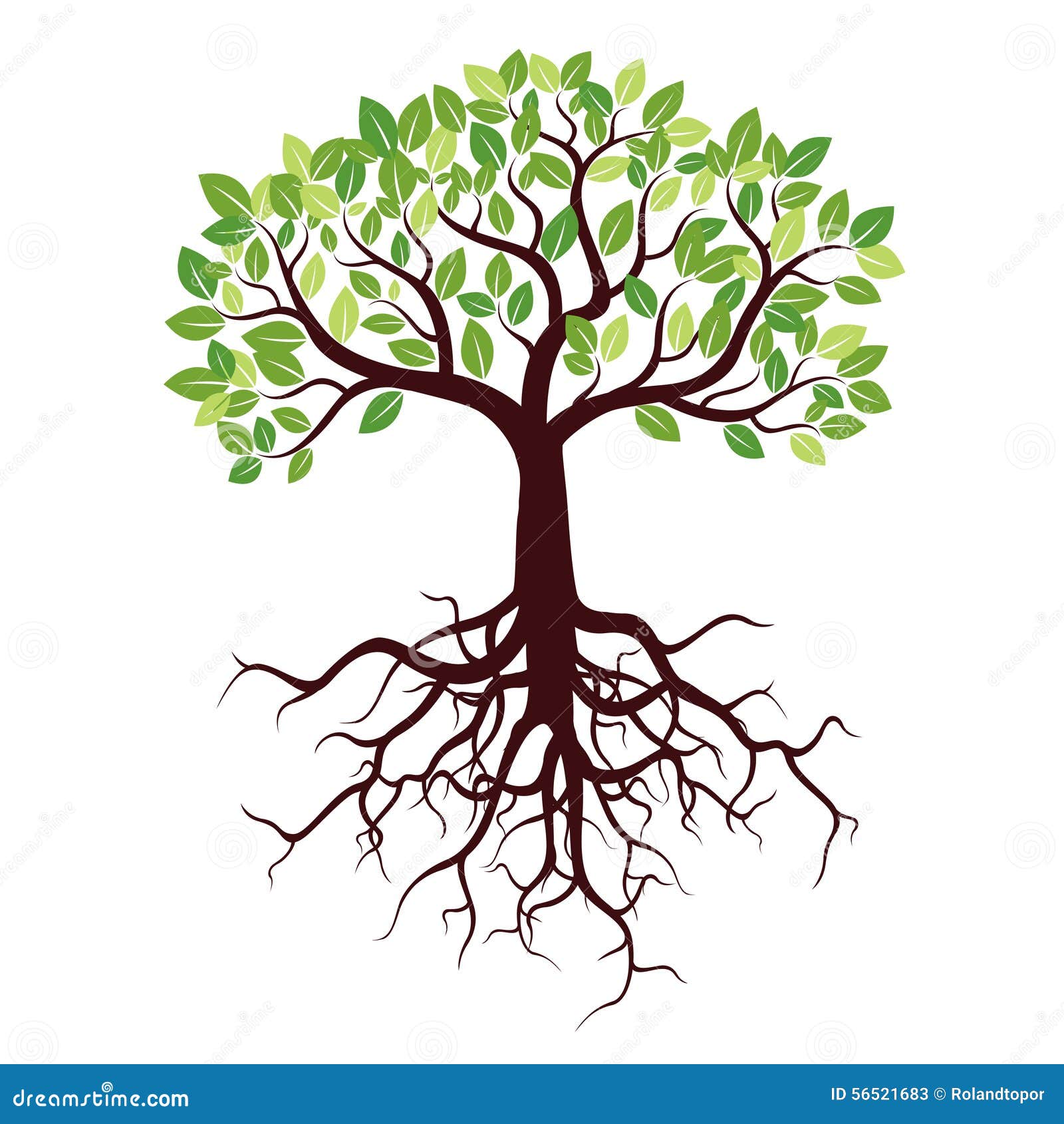 Árbol Con Las Raíces Y Las Hojas Stock de ilustración - Ilustración de ...