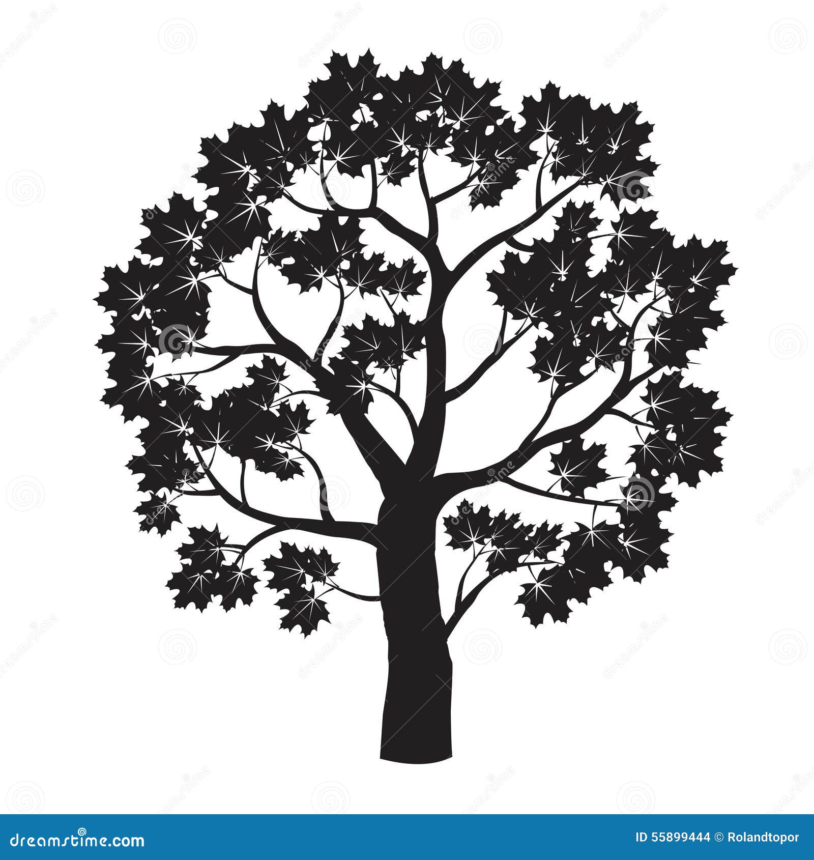 Árbol De Arce Negro Ilustración Del Vector Stock de ilustración ...