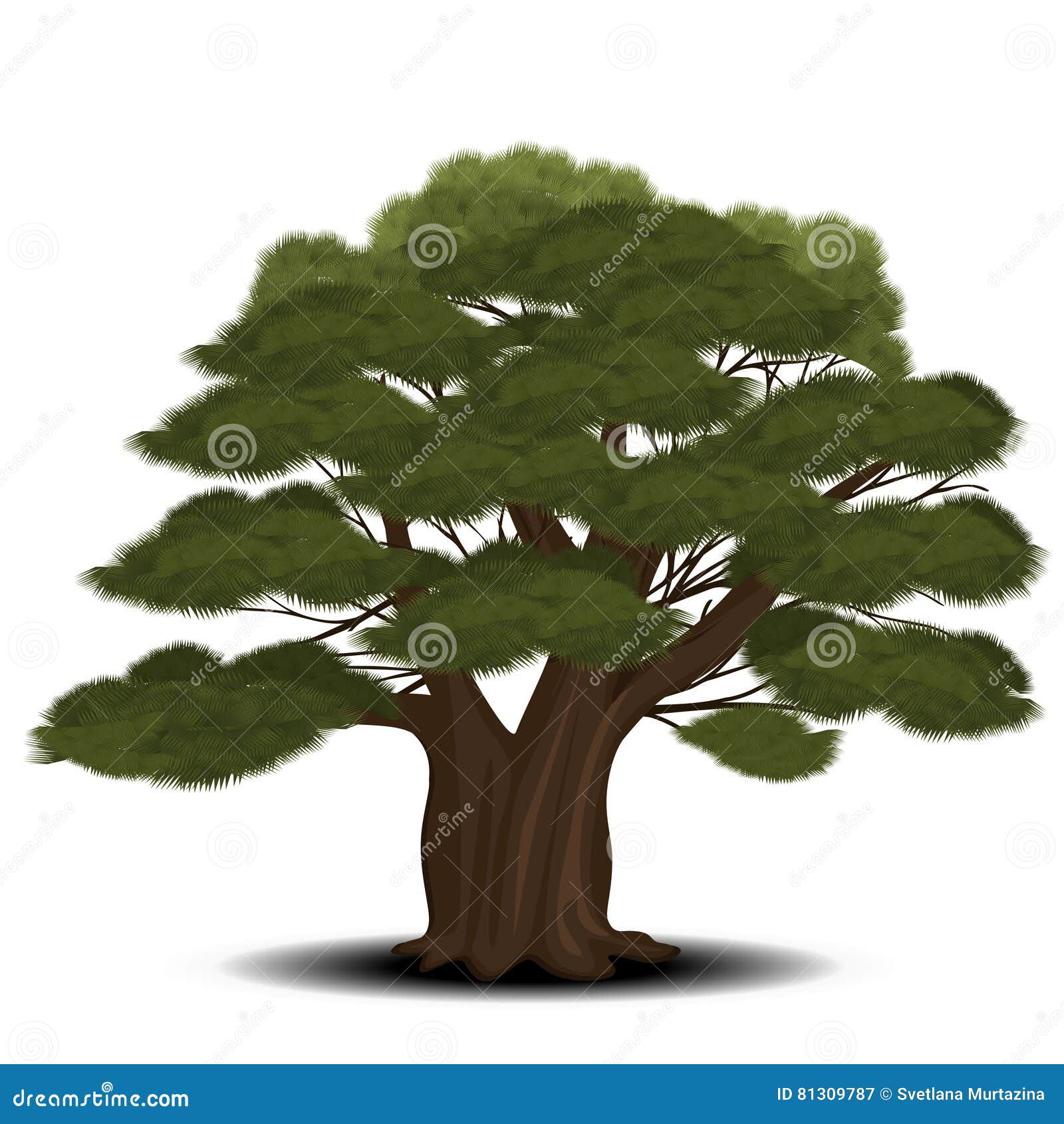 Árbol De Cedro Con Las Agujas Verdes Ilustración del Vector ...