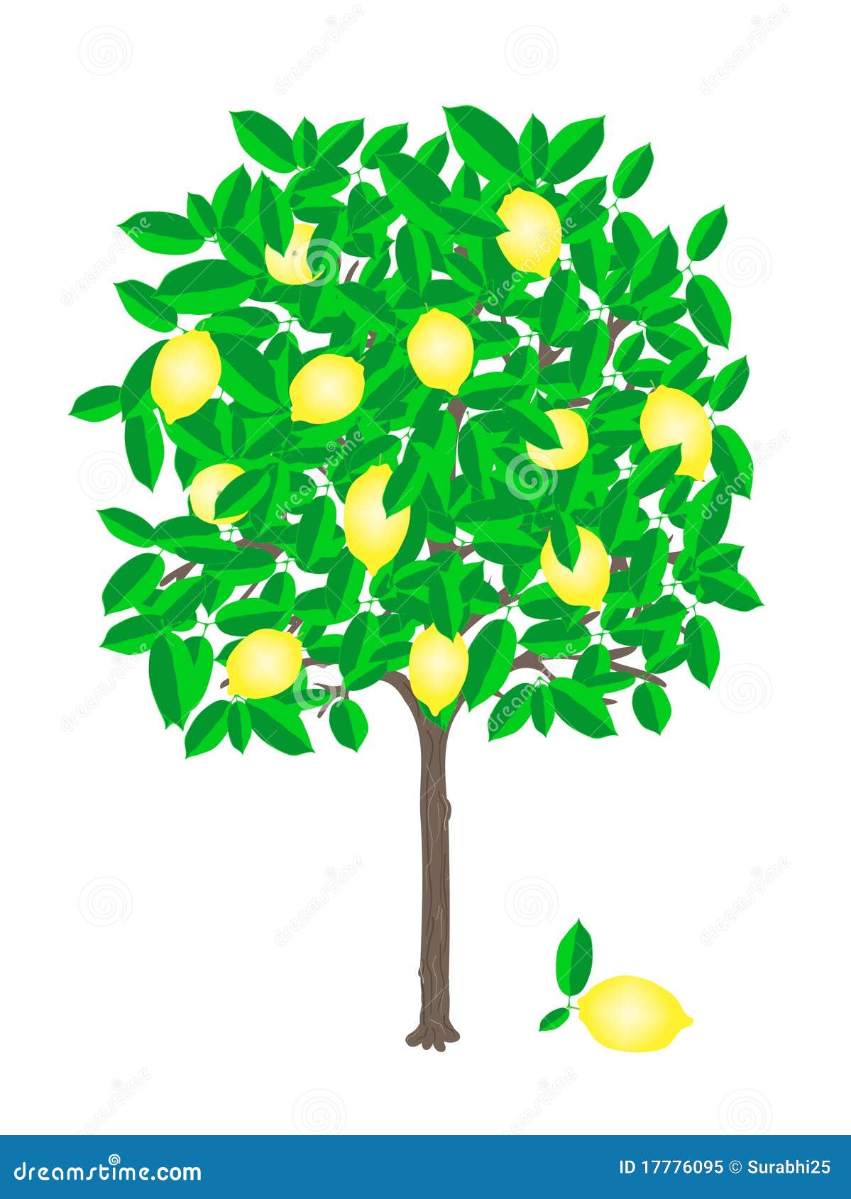 Árbol de limón ilustración del vector. Ilustración de planta - 17776095