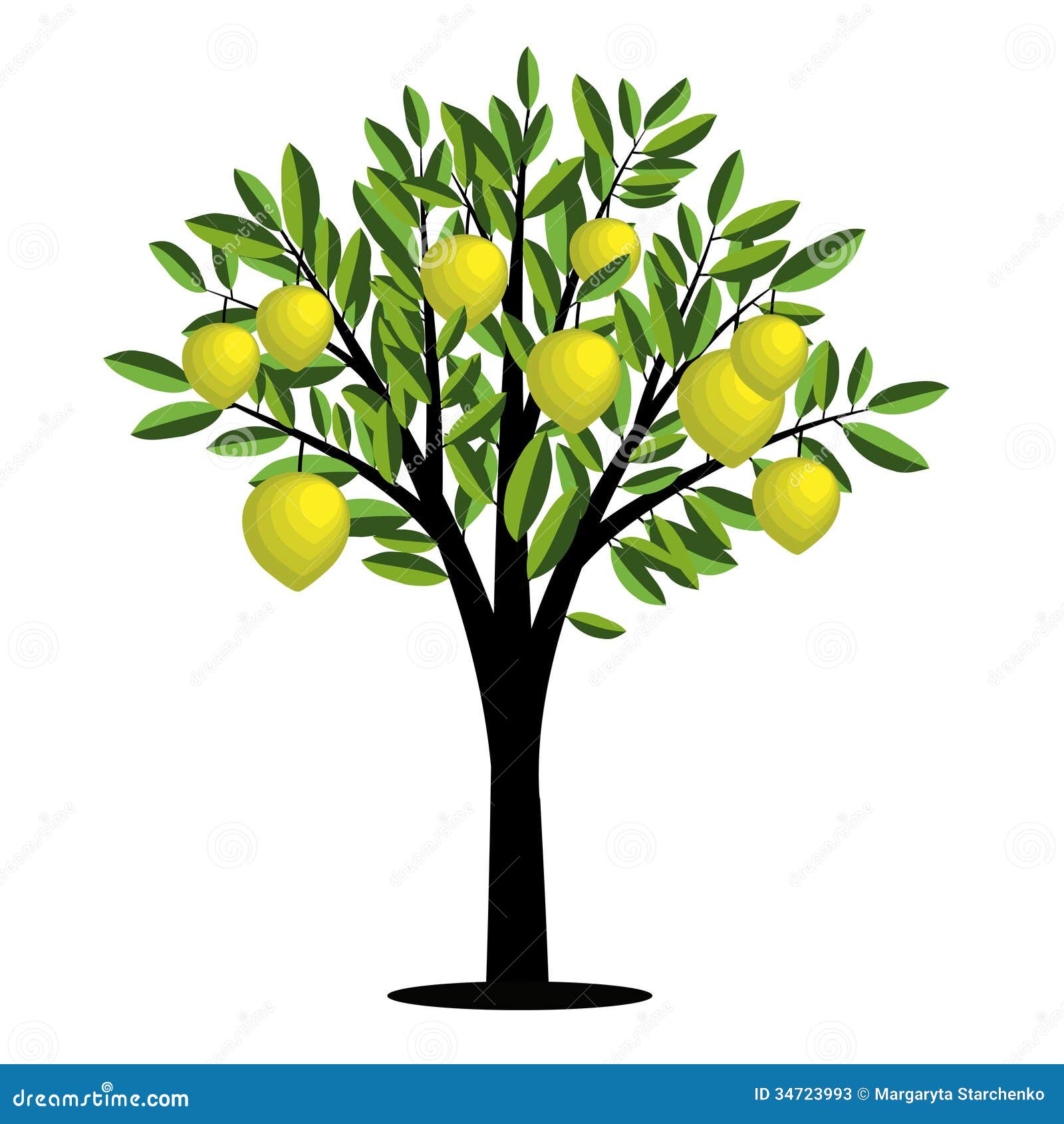 Árbol de limón ilustración del vector. Ilustración de fruta - 34723993