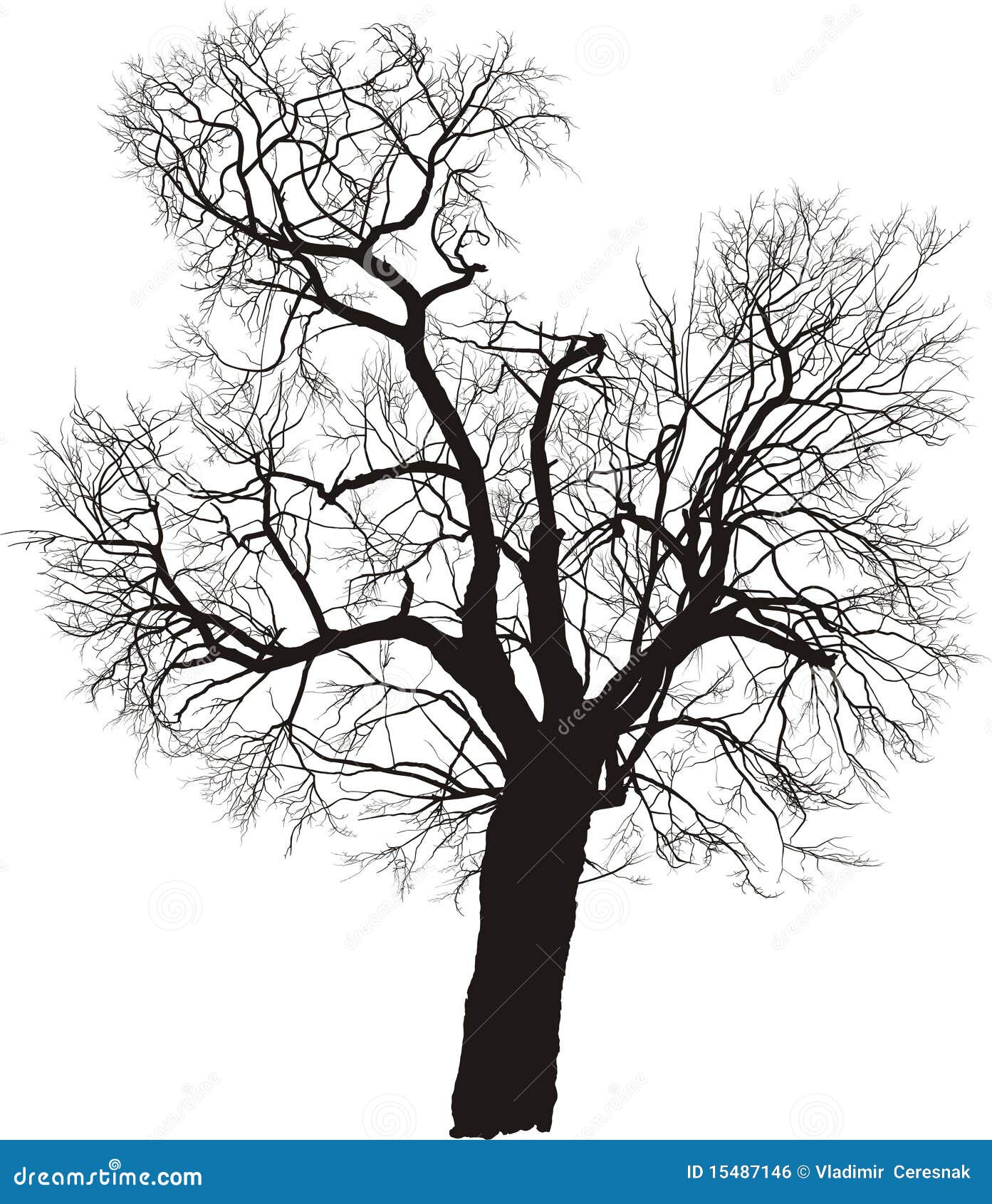 Árbol de mora ilustración del vector. Ilustración de nadie - 15487146