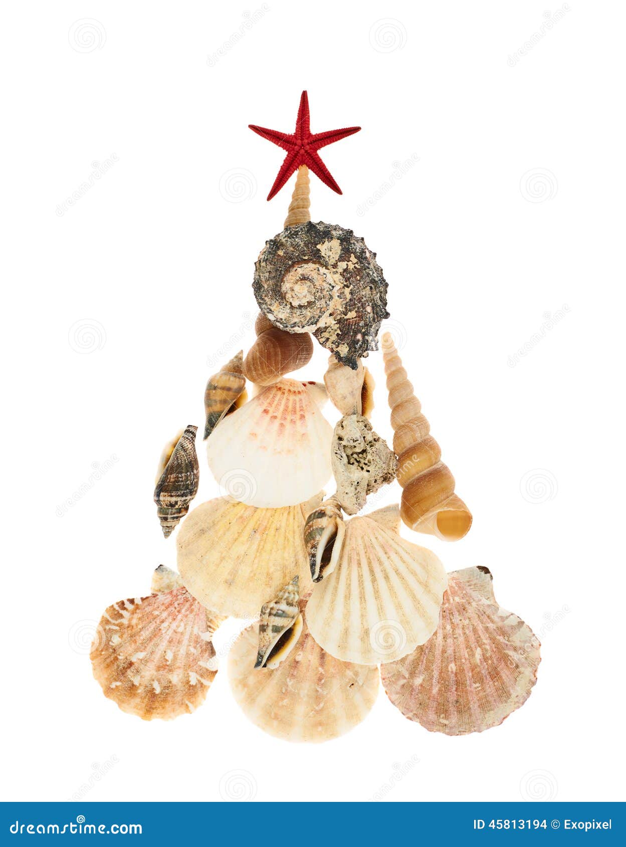 Árbol De Navidad Hecho De Conchas Marinas Foto de archivo - Imagen de ...