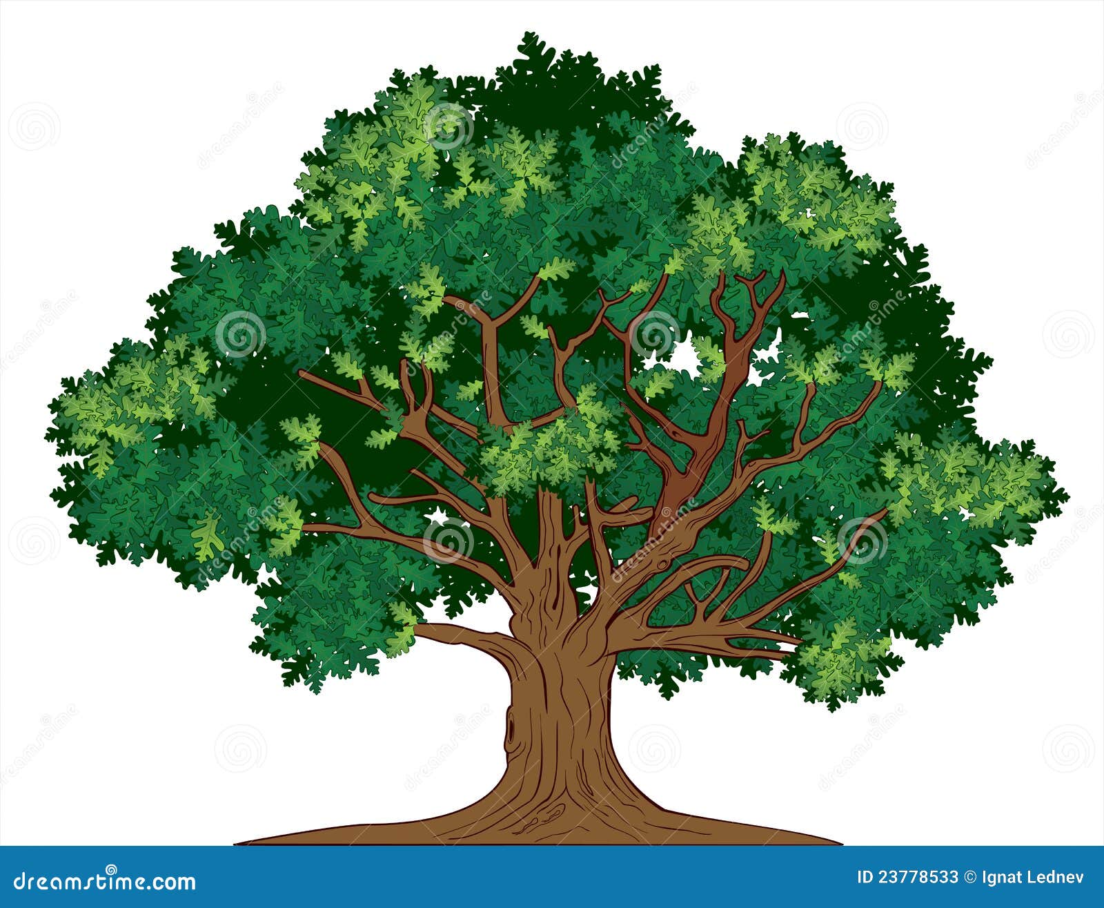Árbol de roble del vector ilustración del vector. Ilustración de fondo ...