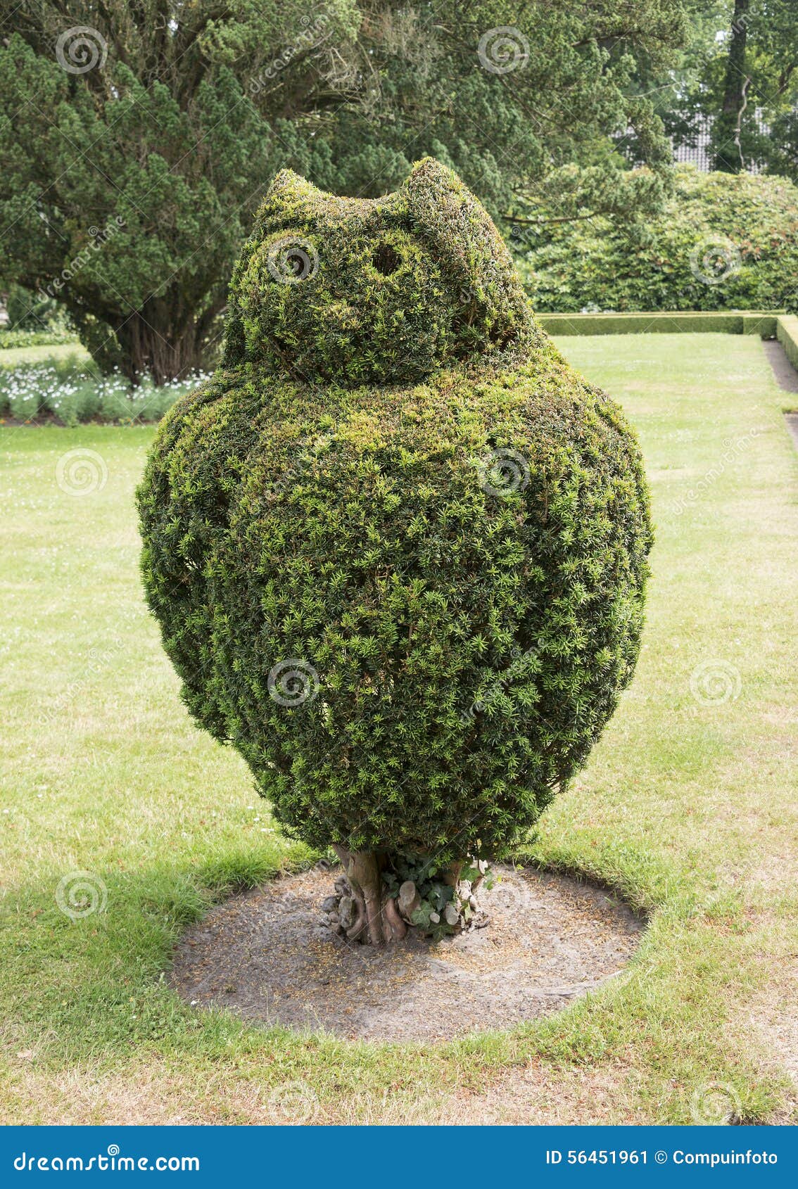 Árbol Del Buxus Podado Como Búho Imagen de archivo - Imagen de redondo ...