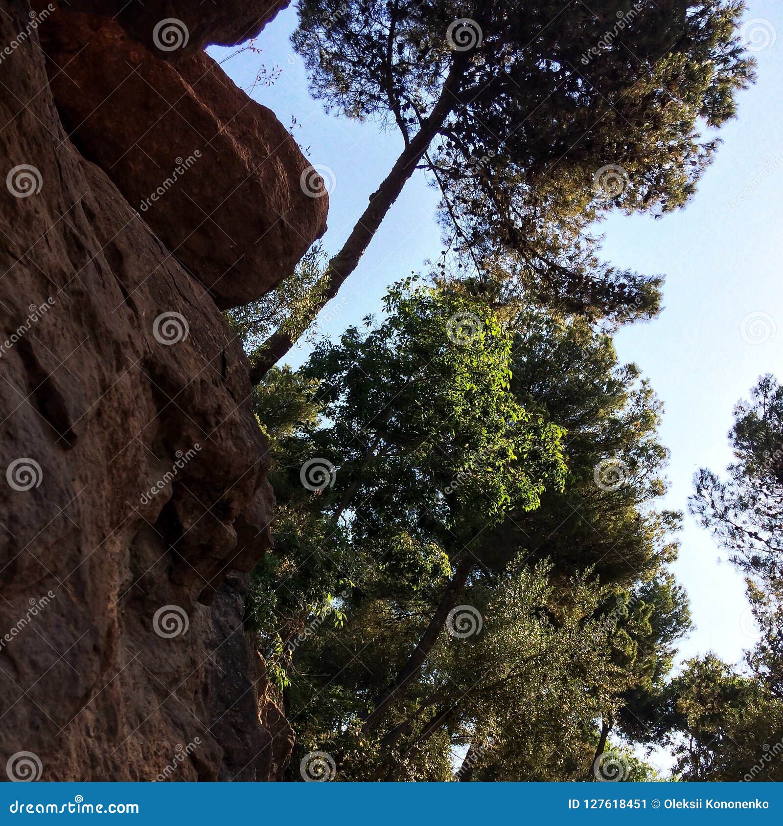 Árbol sobre un precipicio imagen de archivo. Imagen de hoja - 127618451