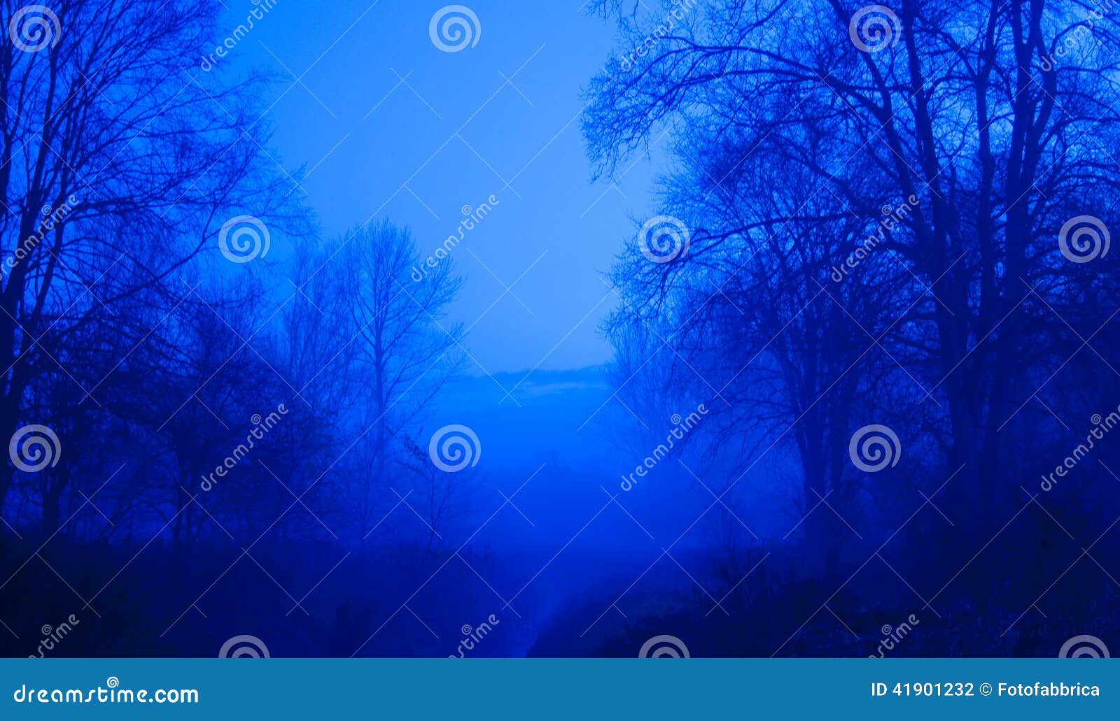 Árboles azules foto de archivo. Imagen de espeluznante - 41901232