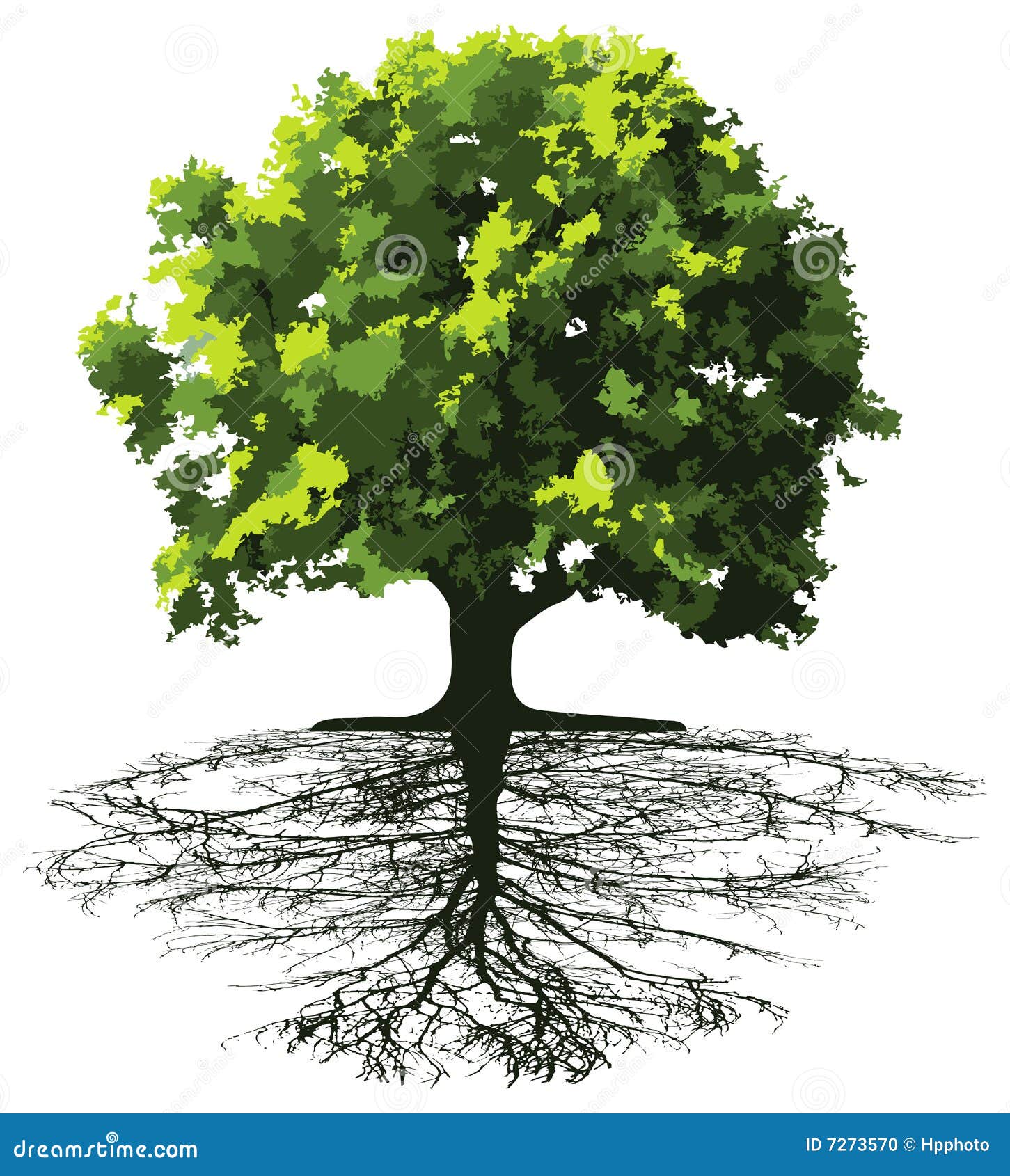 Árboles con las raíces ilustración del vector. Ilustración de bosque ...