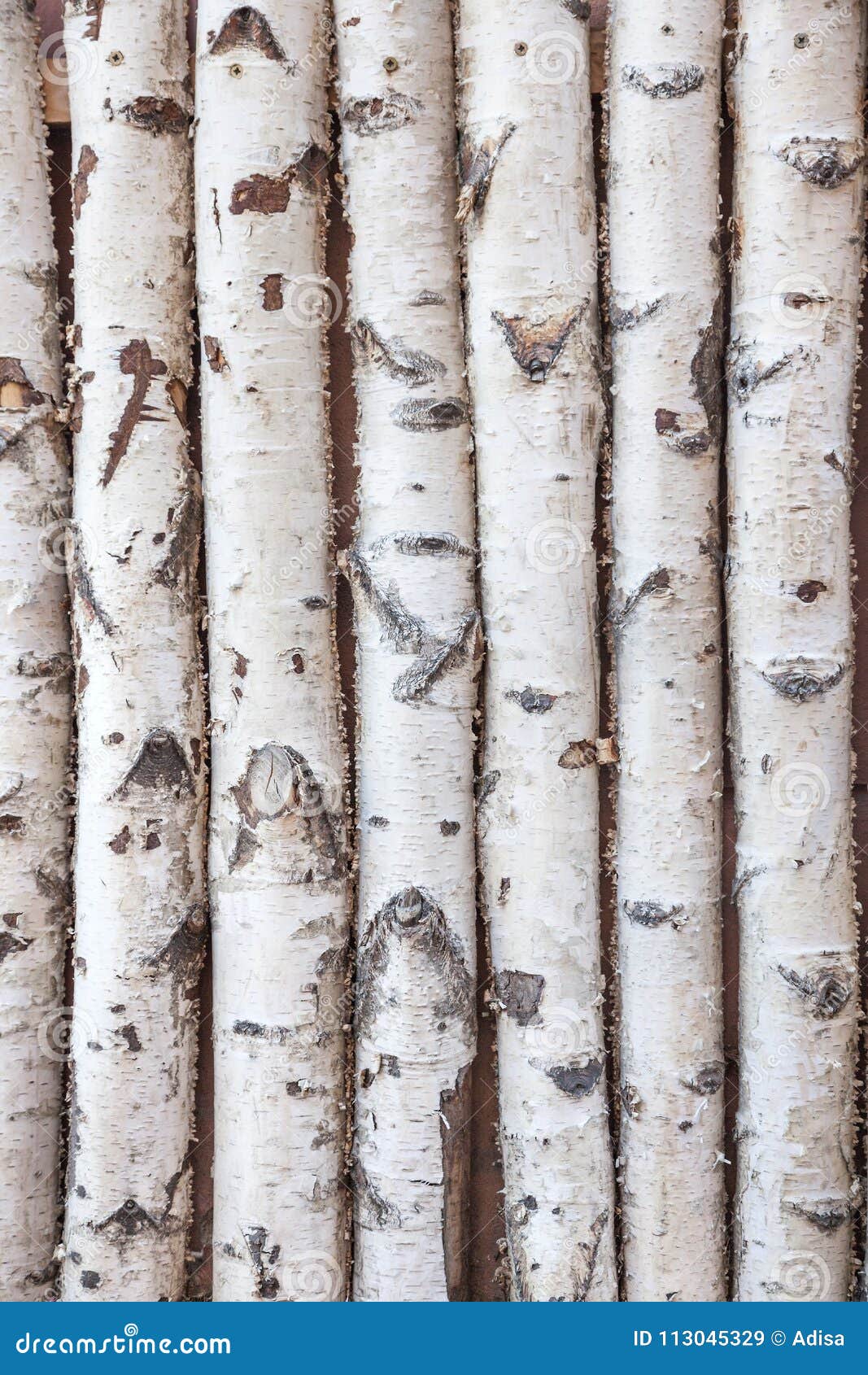 Árboles de abedul imagen de archivo. Imagen de parte - 113045329