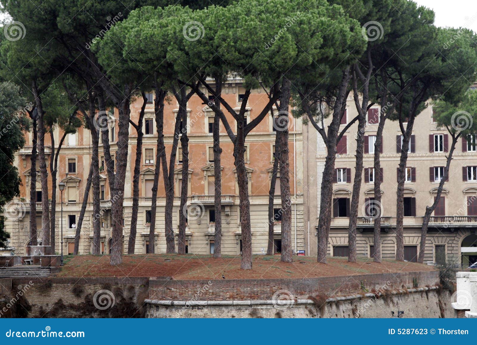 Árboles En Roma, Italia Imagen. Imagen: 5287623