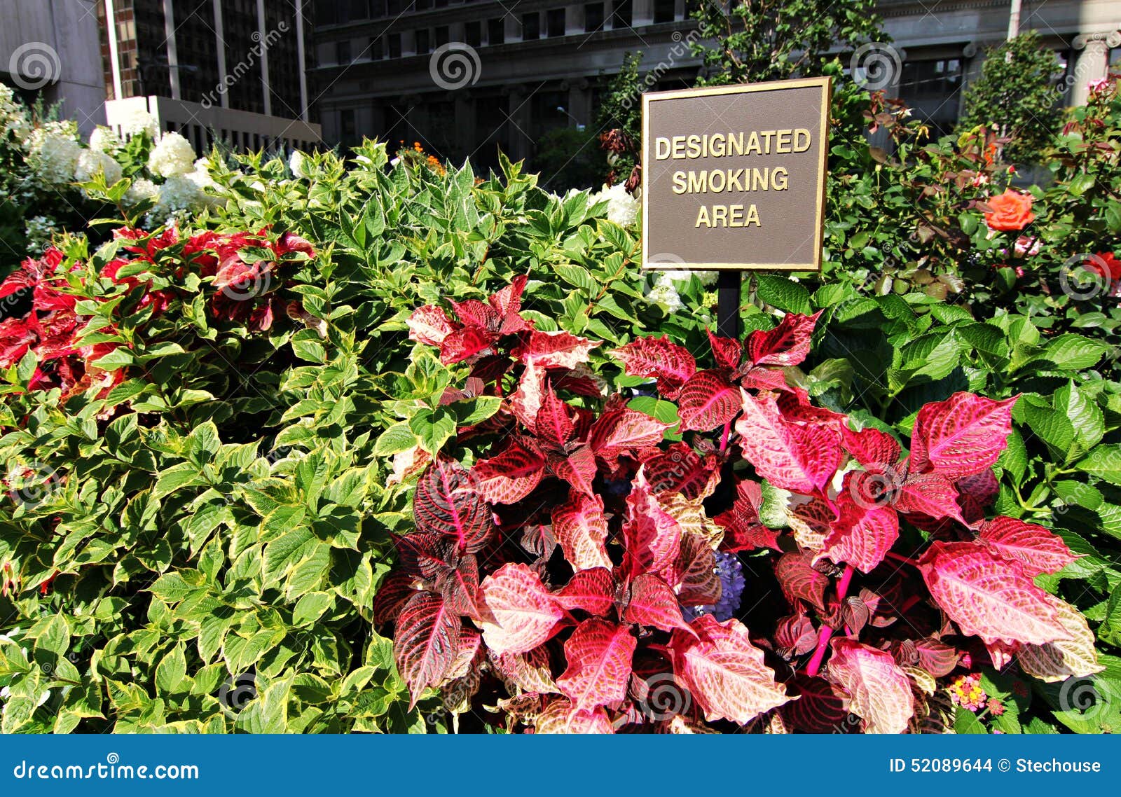 Área de fumo designada foto de stock. Imagem de fumar - 52089644