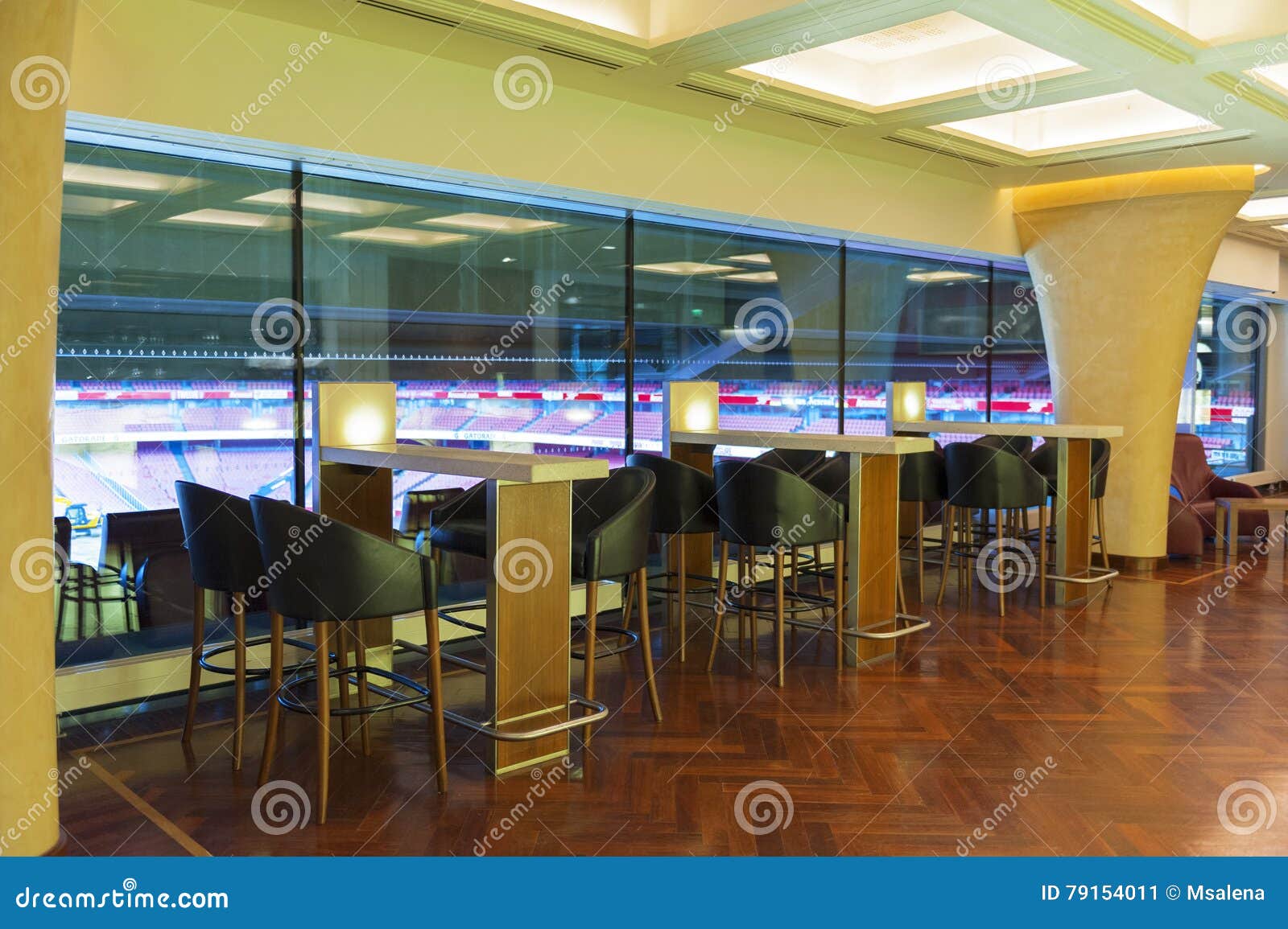 Área del estadio del VIP foto editorial. Imagen de arena - 79154011