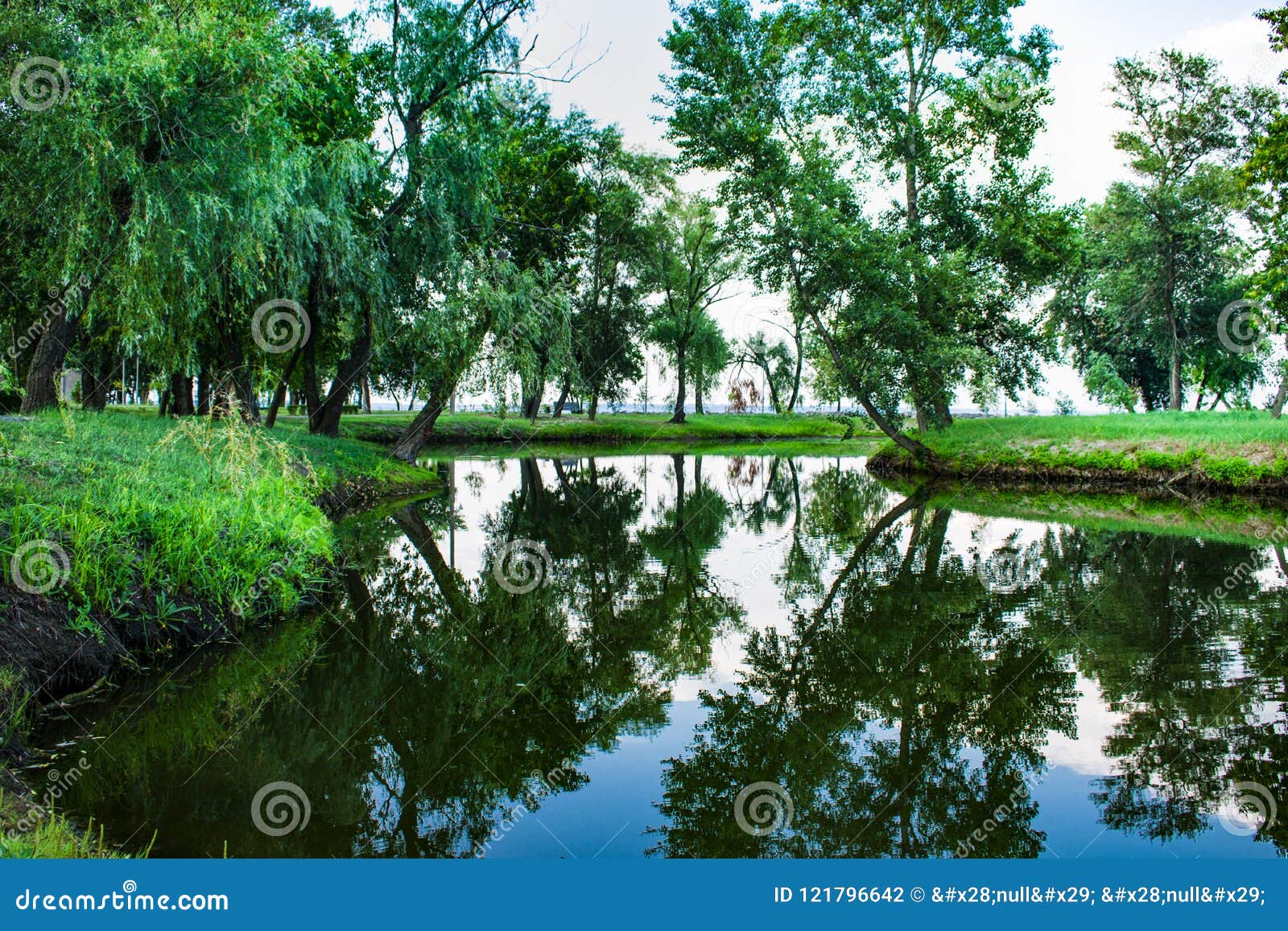Área Del Parque Con Un Lago Hermoso Foto de archivo - Imagen de bosque ...